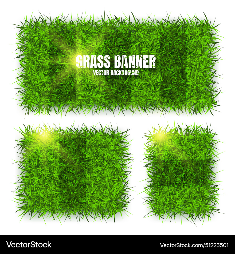 Green grass banners background field meadow Vector Image