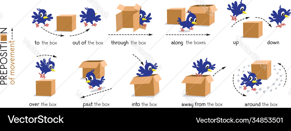 Preposition movement bird and box Royalty Free Vector Image