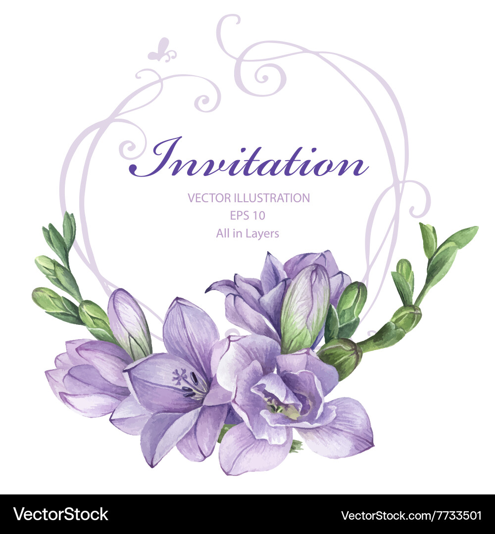 Purple freesia flowers Royalty Free Vector Image