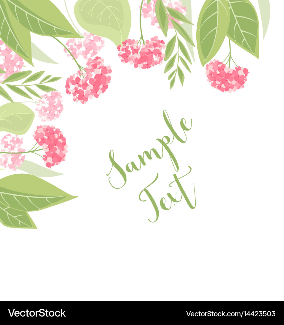 Pink Hydrangea Flower Background Royalty Free Vector Image