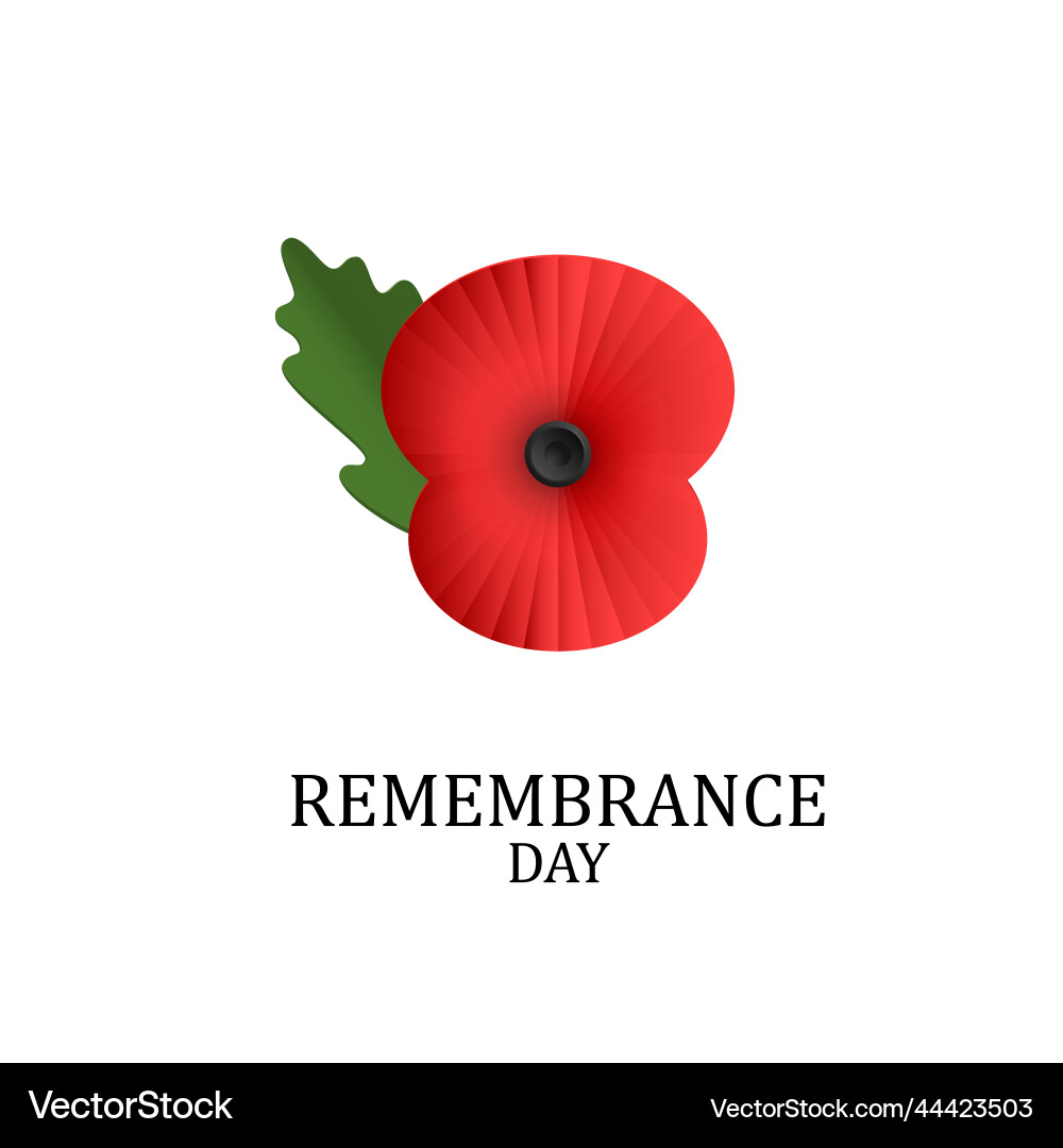 Remembrance poppy - appeal flower Royalty Free Vector Image
