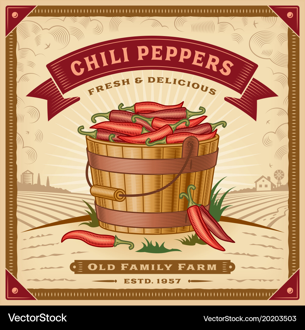 Retro Chili Harvest Label Royalty Free Vector Image