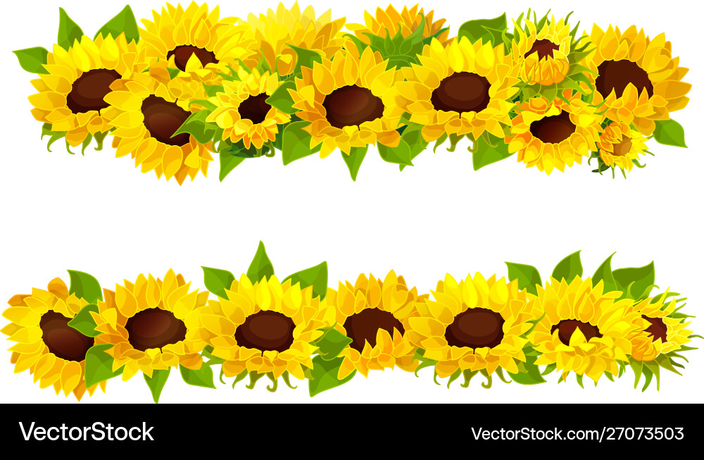 Sunflower seeds frame Royalty Free Vector Image