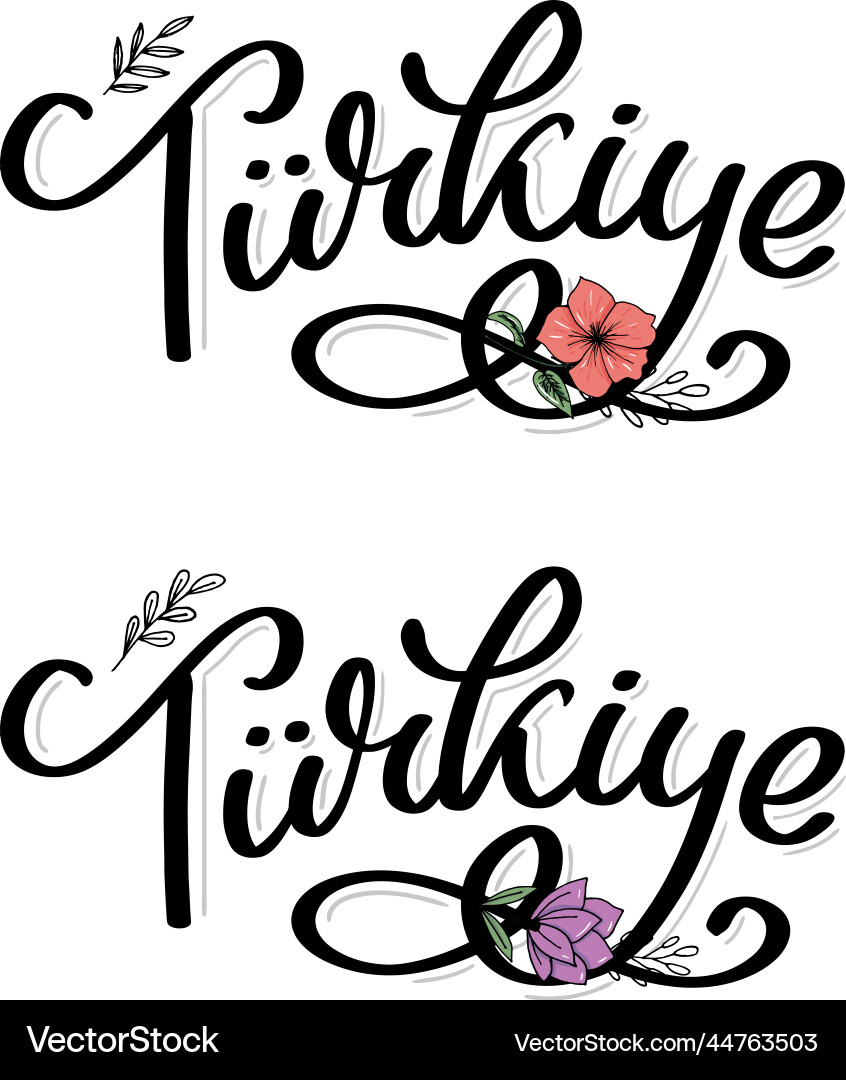 Text in the turkish turkey lettering handwritten Vector Image