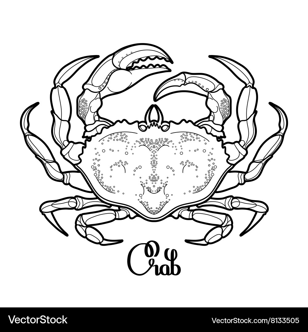 Detailed Crab Artwork Royalty Free Vector Image