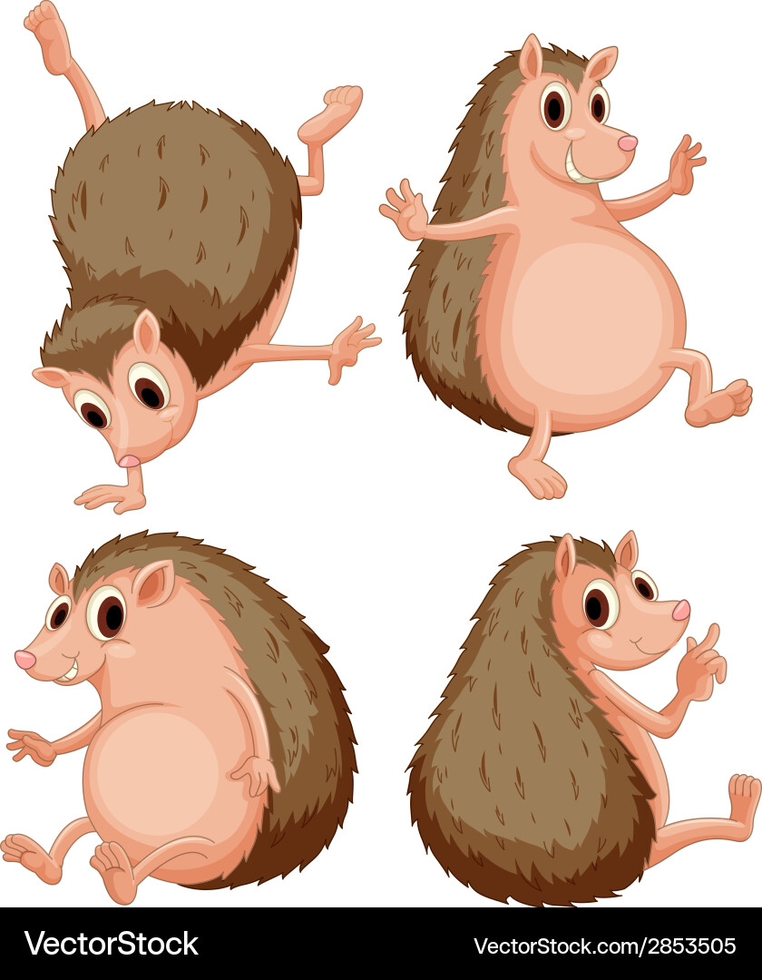 Hedgehog set Royalty Free Vector Image - VectorStock