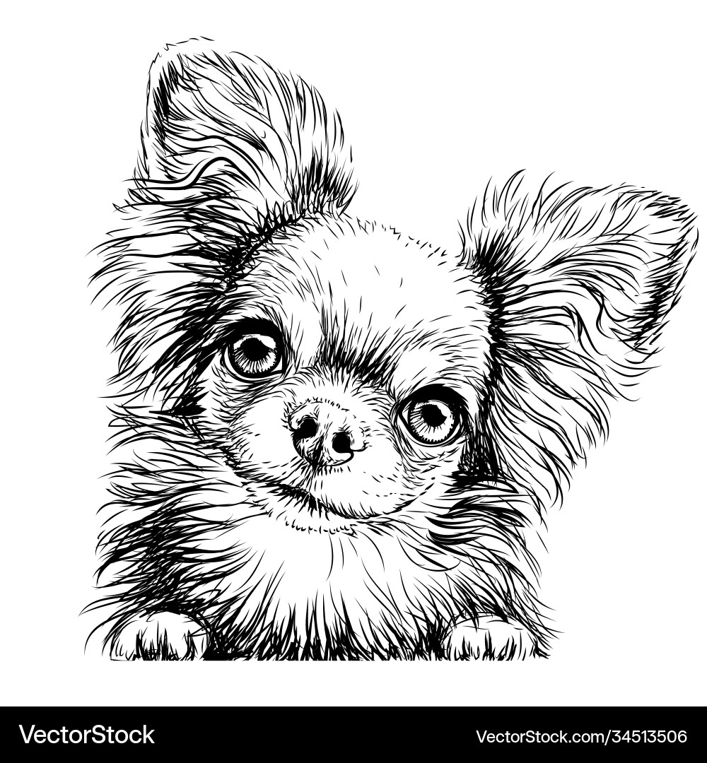 Chihuahua dog wall sticker Royalty Free Vector Image