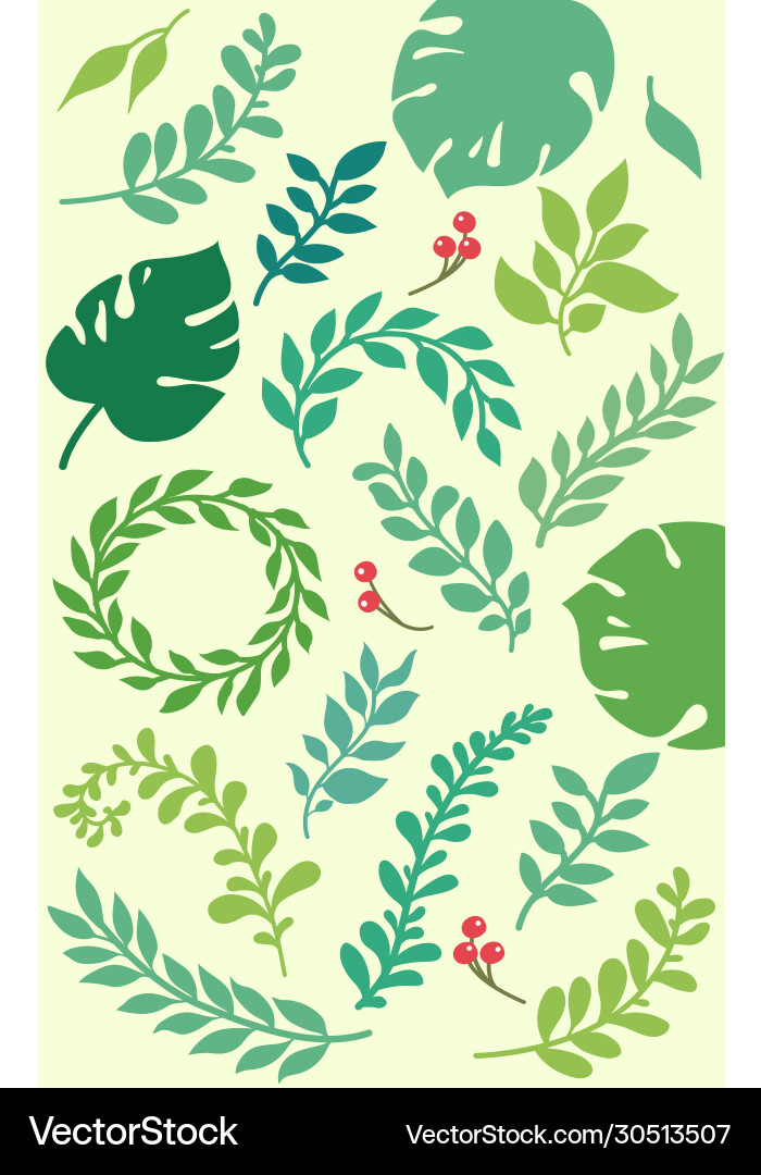 Leaves elements Royalty Free Vector Image - VectorStock