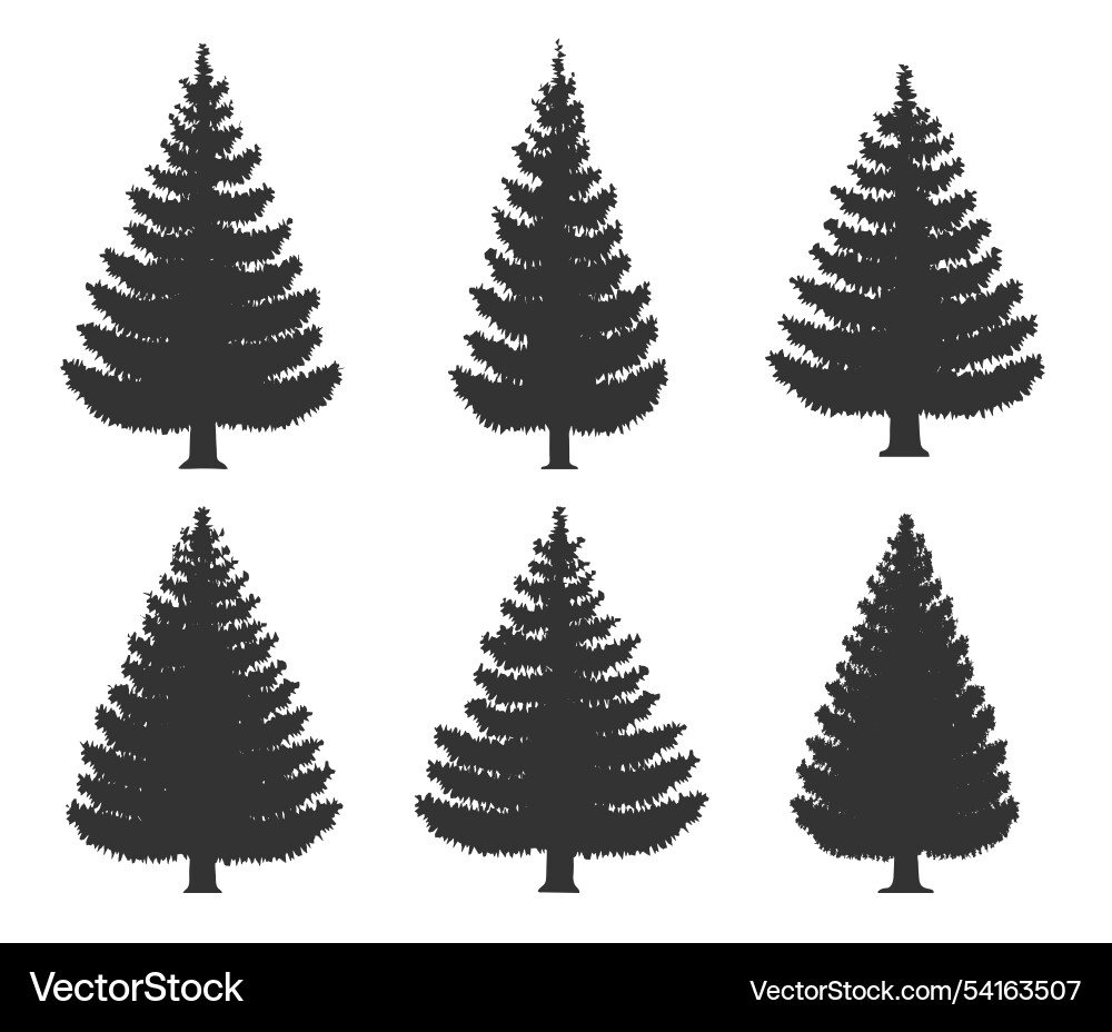 Spruce tree forest shape silhouette icon Vector Image