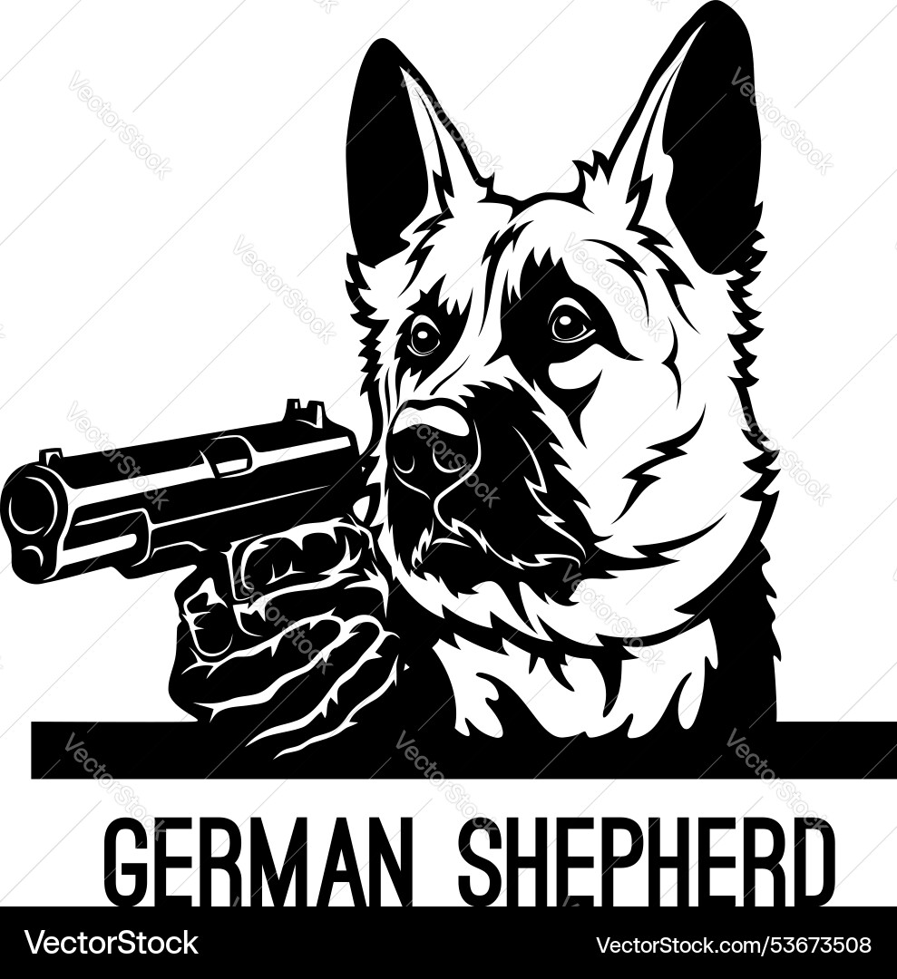 Bad german shepherd with gun - dog Royalty Free Vector Image