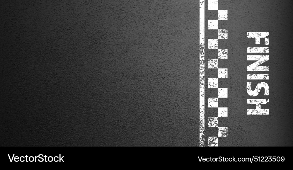 Asphalt road with white finish line marking Vector Image