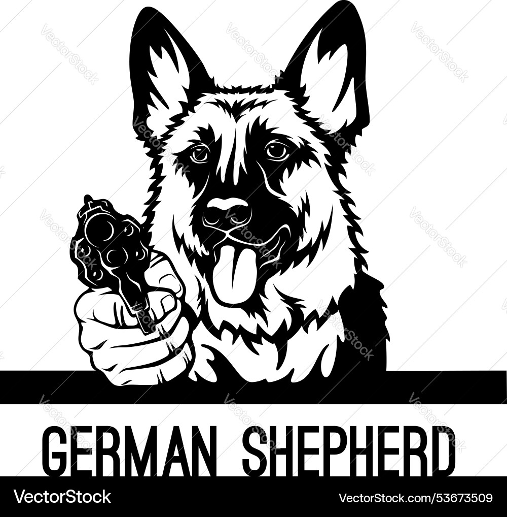Bad german shepherd with gun - dog Royalty Free Vector Image