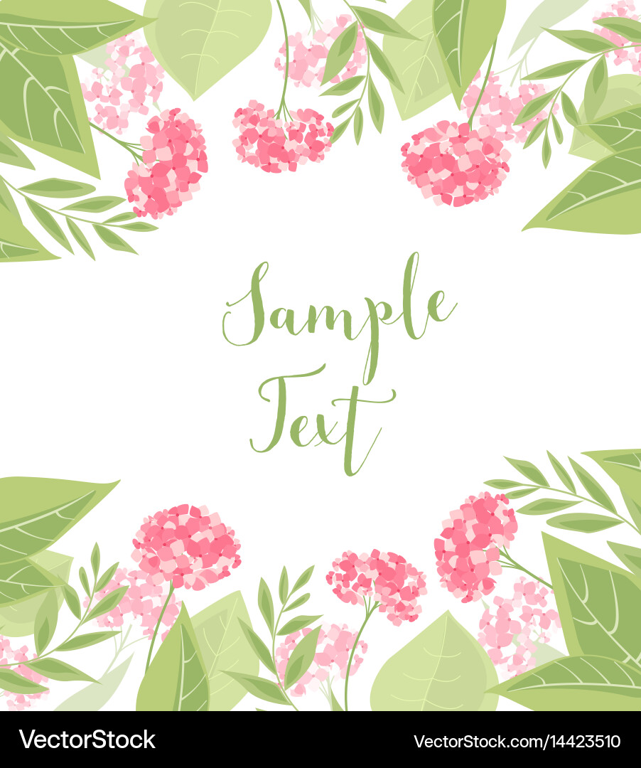 Pink Hydrangea Flower Background Royalty Free Vector Image