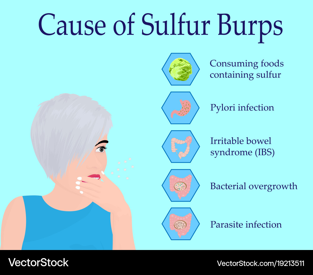 Causes of sulfur burps Royalty Free Vector Image