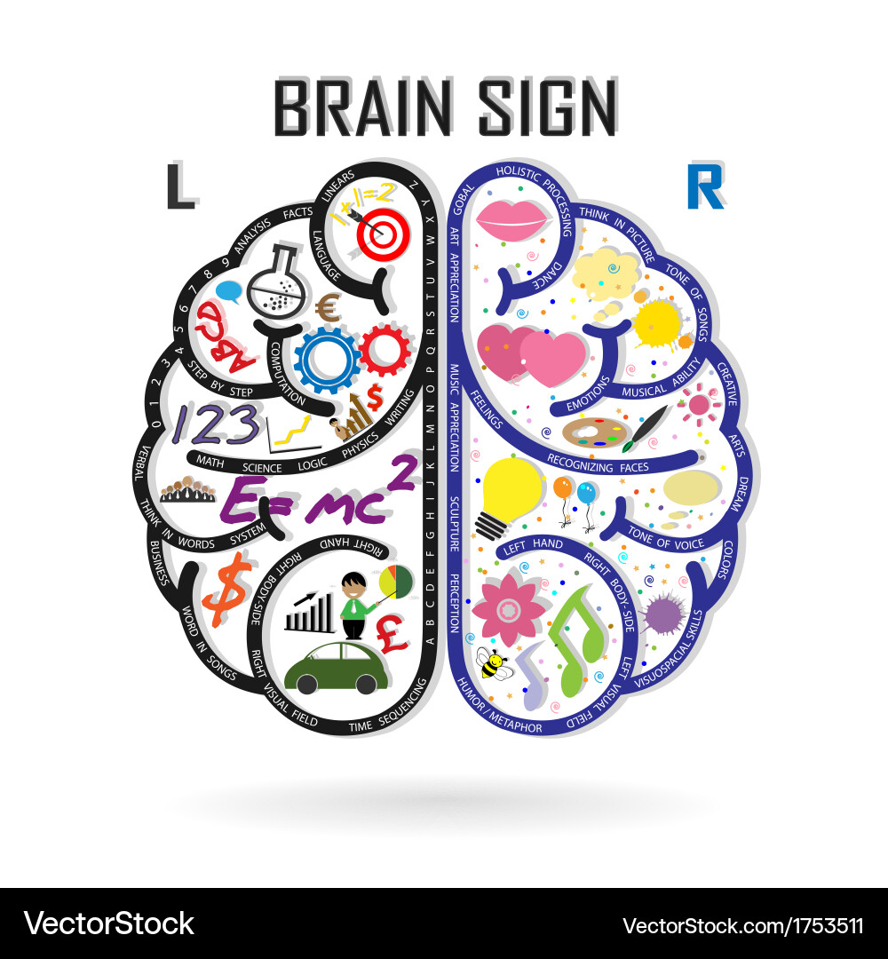 Creative left and right brain idea concept Vector Image