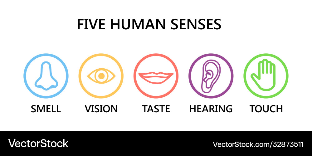 Icon set five human senses Royalty Free Vector Image