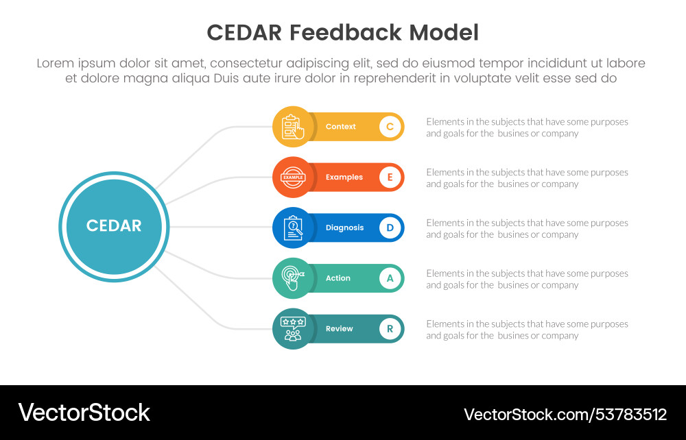 Cedar feedback model infographic template banner Vector Image