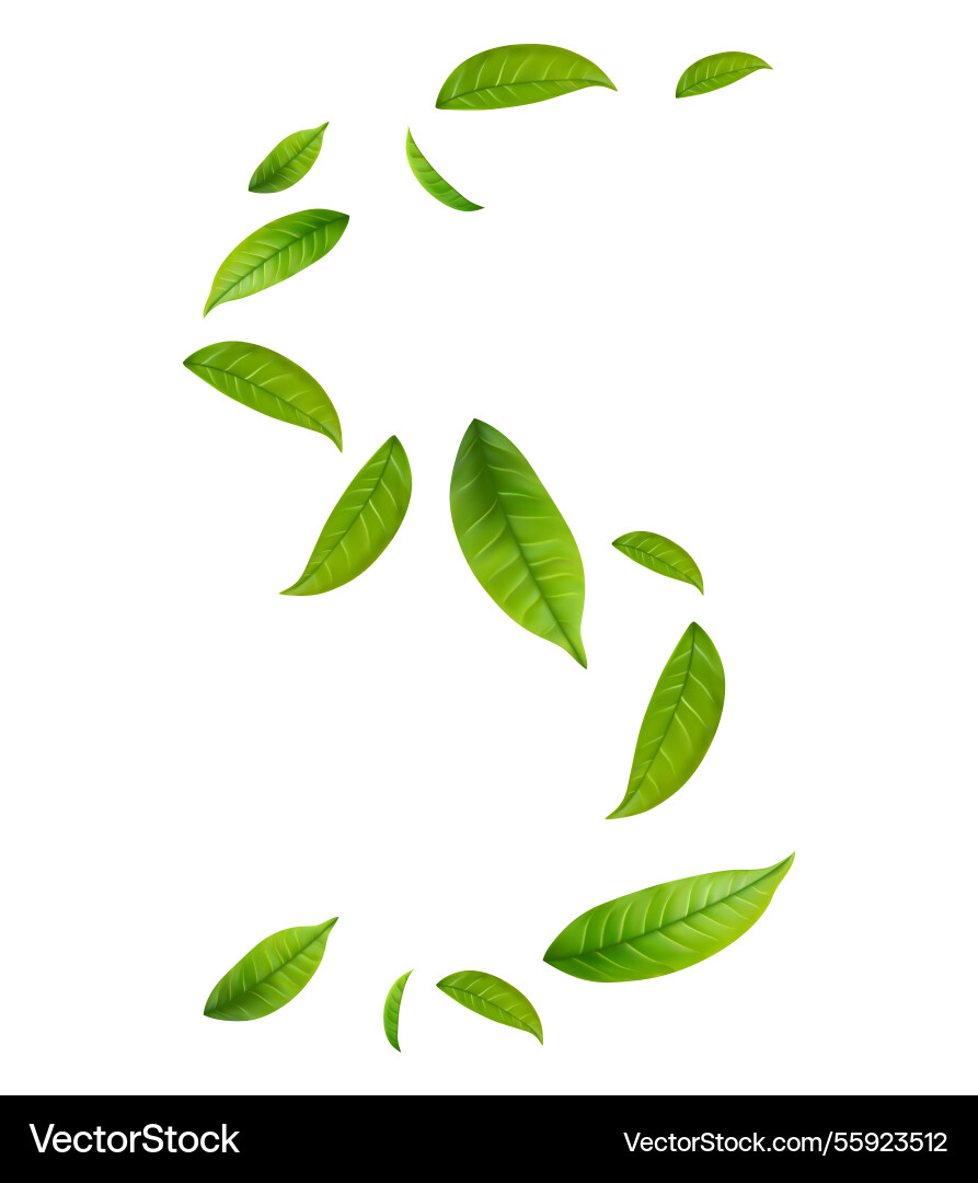 Green floating leaves Royalty Free Vector Image