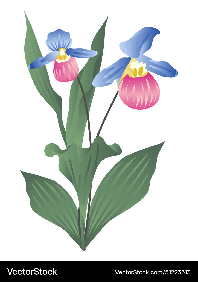 Abstract iris on stem in flat design flowers Vector Image