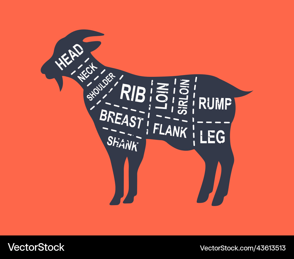 Goat diagram cuts butcher scheme poster Royalty Free Vector