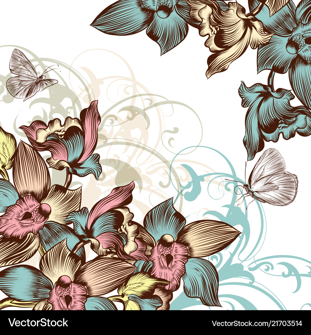 Beautiful floral background with orchids Vector Image