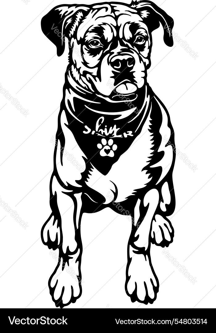 Boxer dog breed - pet cut file dog Royalty Free Vector Image