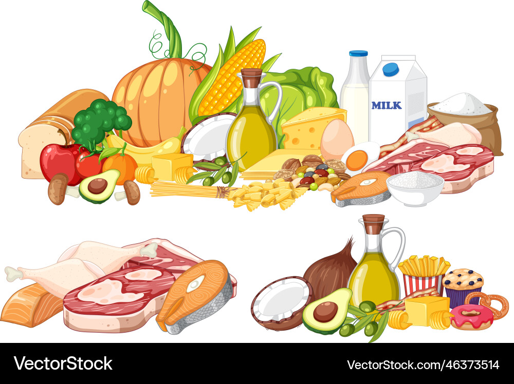 Main food groups macronutrients Royalty Free Vector Image