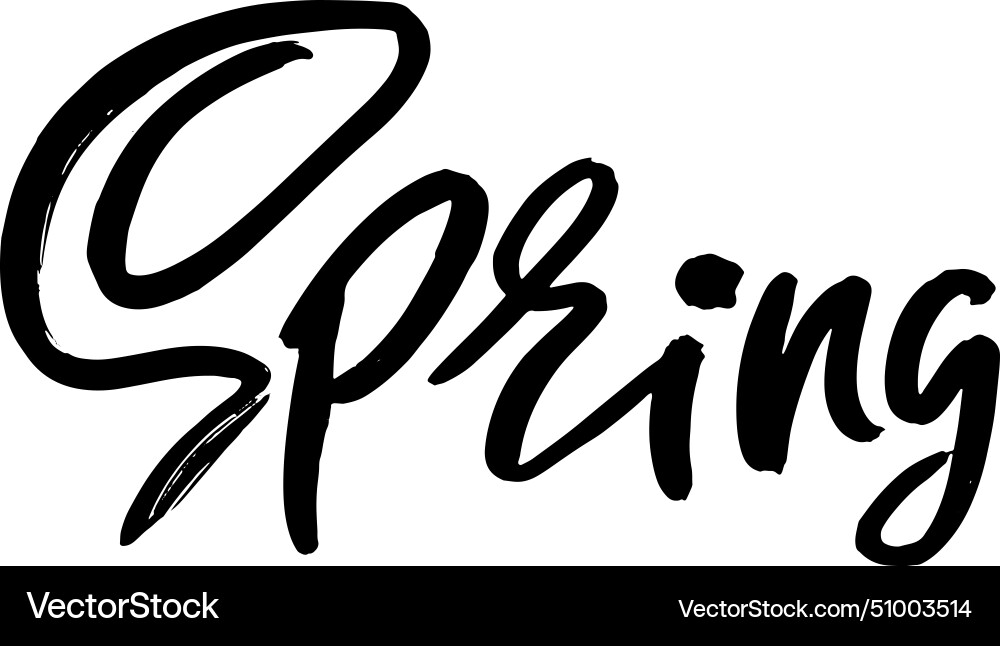 Spring grunge dry brush lettering Royalty Free Vector Image