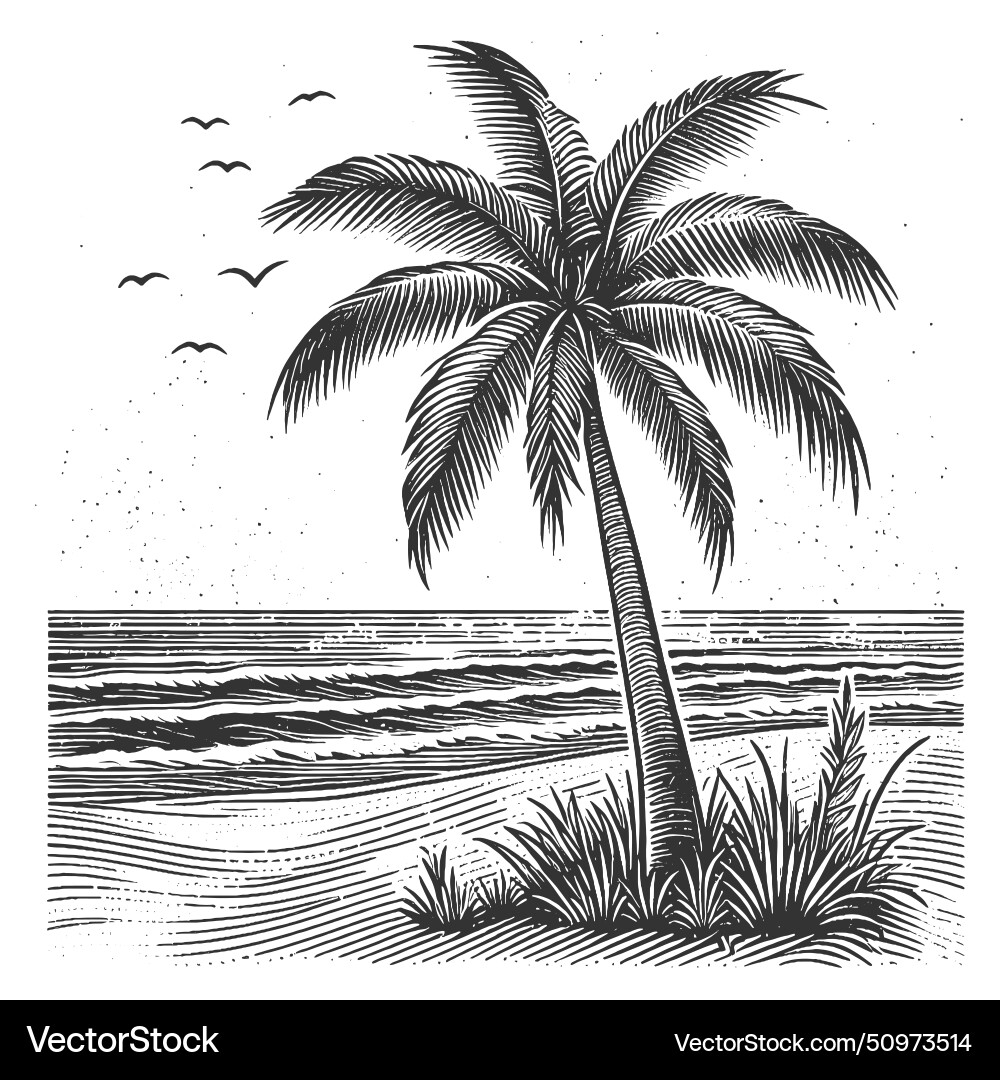Tropical palm tree beach engraving Royalty Free Vector Image