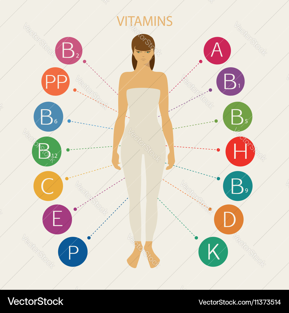 Vitamins Royalty Free Vector Image - VectorStock