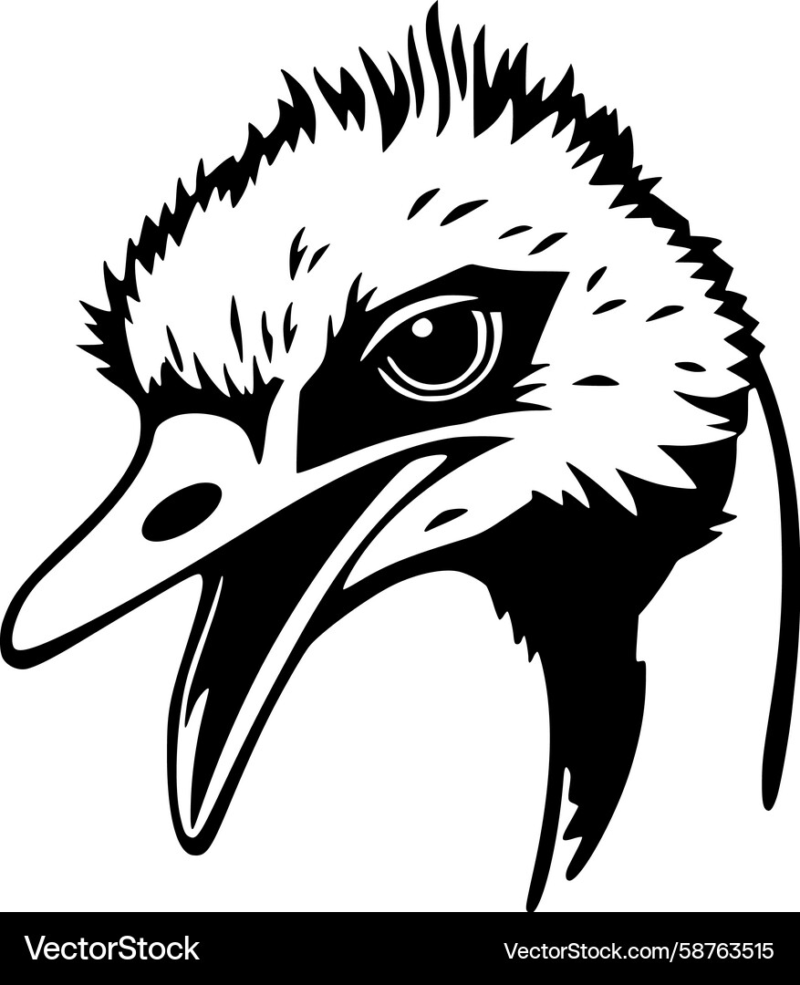 Aggressive Emu Head Royalty Free Vector Image - VectorStock