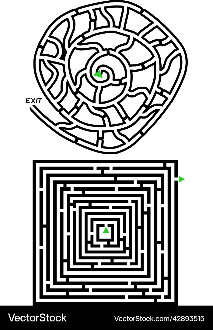 Two mazes Royalty Free Vector Image - VectorStock