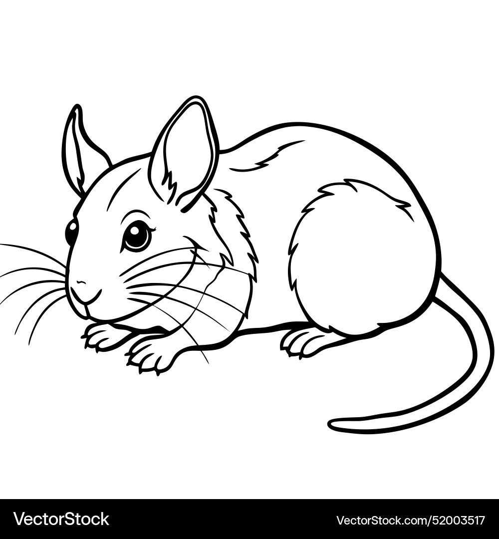 Cotton rat mouse looks icon Royalty Free Vector Image