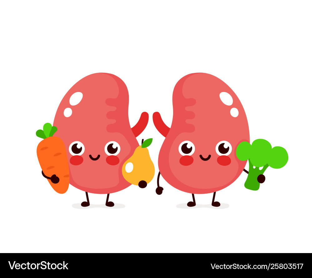 Happy Kidney Clipart 2,526 Kidney Happy Stock Vectors And Vector Art