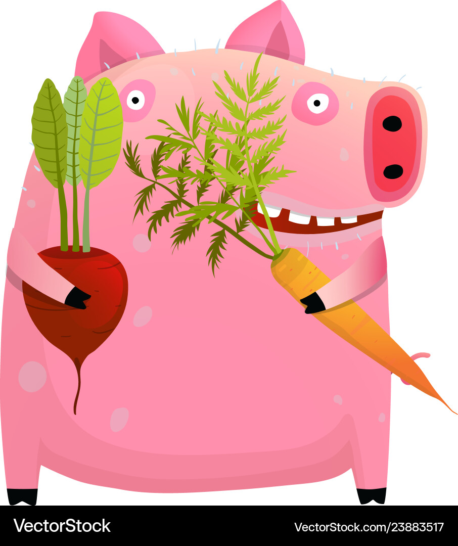 Fat pig eating smart vegetable diet Royalty Free Vector