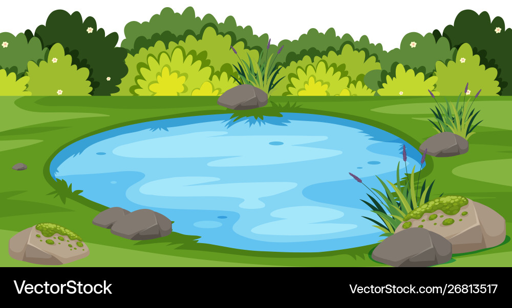 Landscape background with small pond in park Vector Image