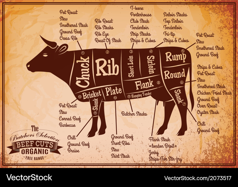 Poster with detailed diagram cutting cows Vector Image