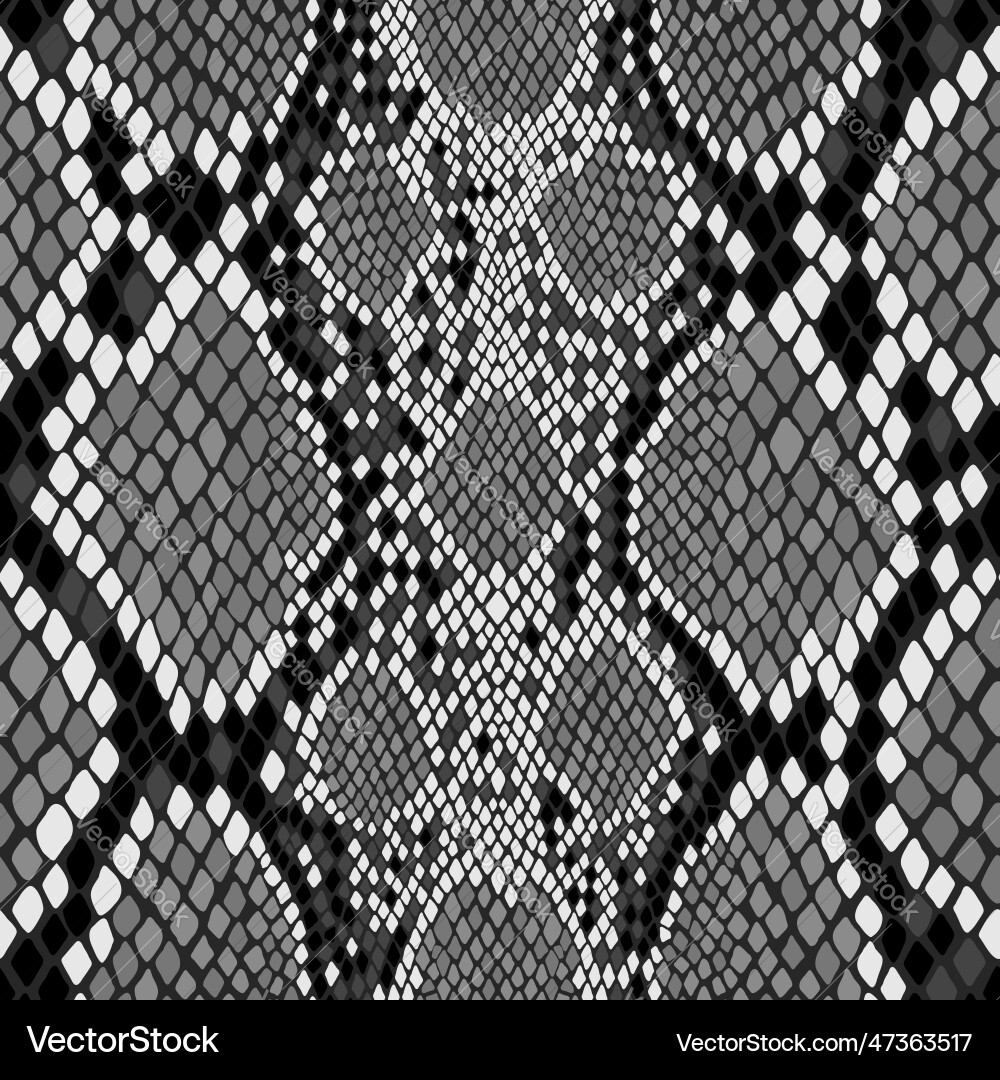 Snake Prints Patterns Snake Print And Photo Art Print Snake Skin