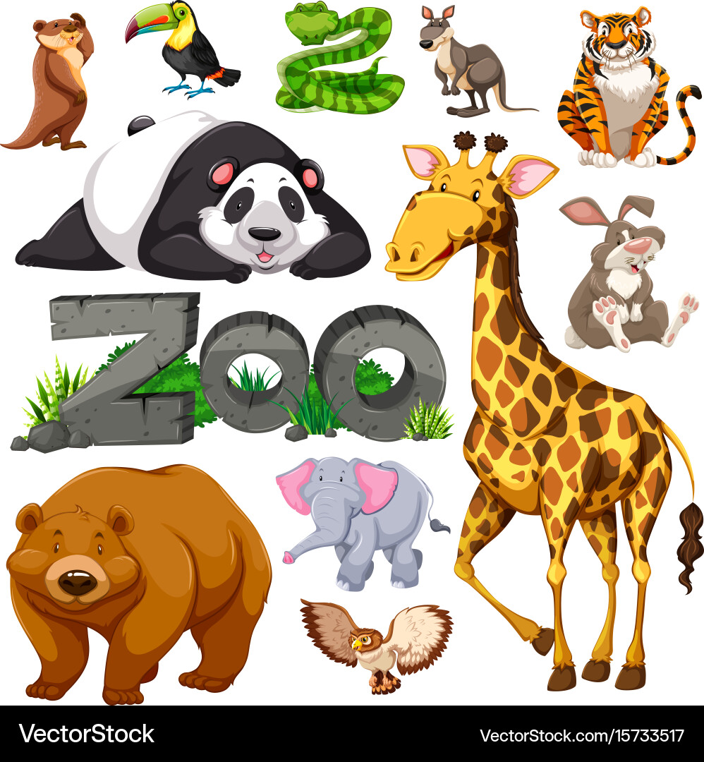 Zoo and different types of wild animals Royalty Free Vector