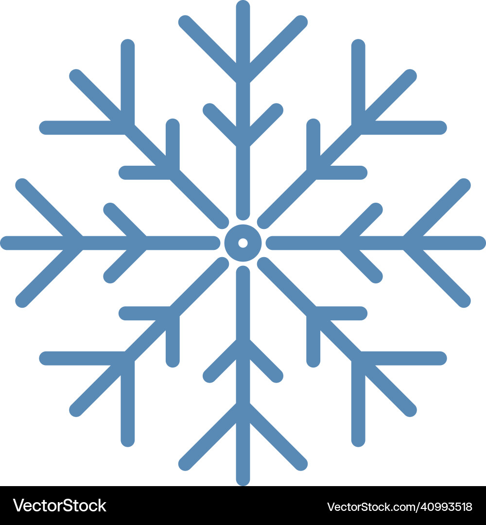 Snowflake icon winter symbol cold weather sign Vector Image