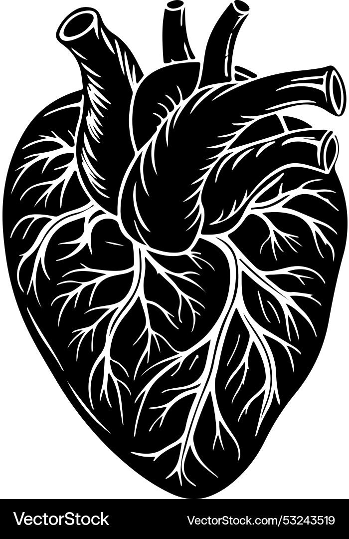 A heart Royalty Free Vector Image - VectorStock