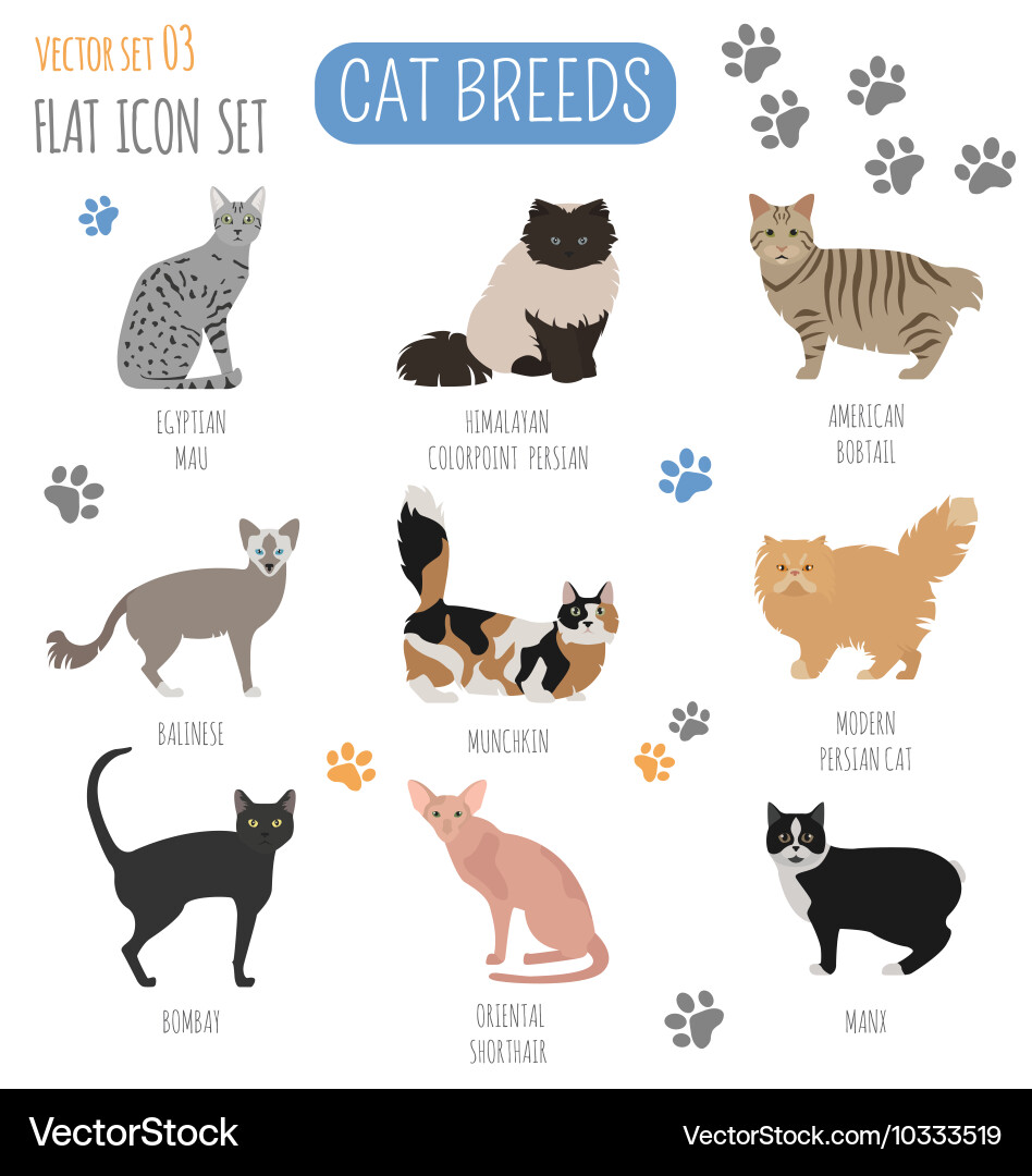 Cat breeds icon set flat style Royalty Free Vector Image
