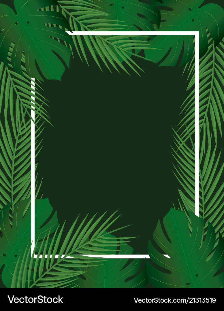 Tropical leaf frame Royalty Free Vector Image - VectorStock