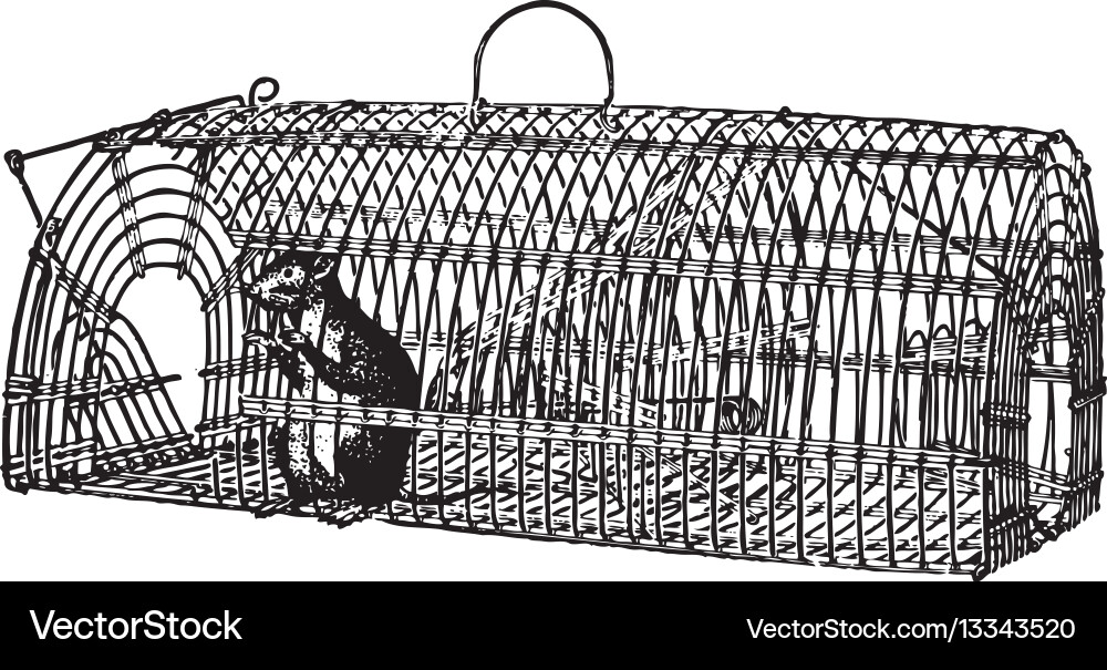 Antique Rat Trap Engraving Royalty Free Vector Image