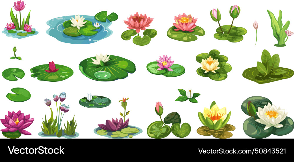 Swamp plants set isolated cartoon water lily Vector Image