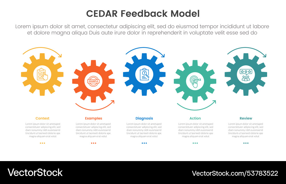 Cedar feedback model infographic template banner Vector Image