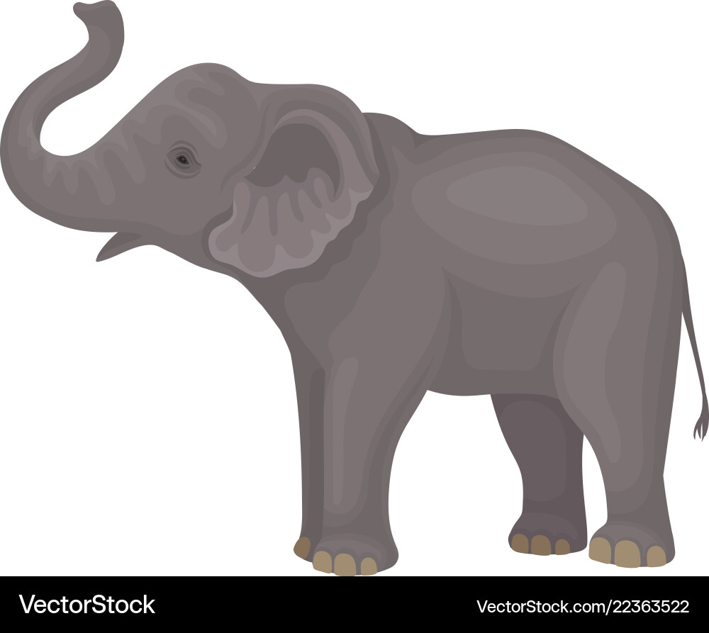 Cute gray elephant standing isolated on white Vector Image