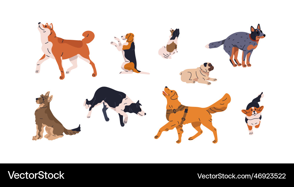 Dogs in motion set different canine breeds Vector Image