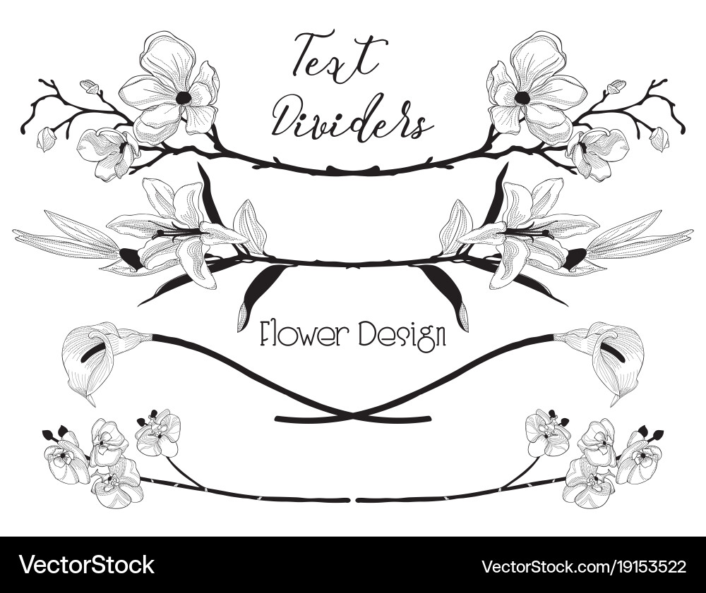 Elegant Floral Text Dividers Royalty Free Vector Image