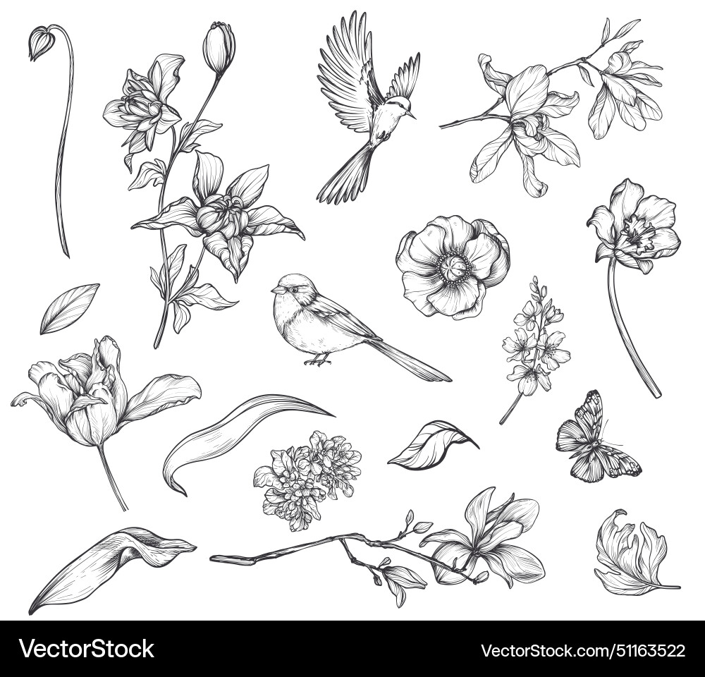 Set of hand drawn spring garden flowers and Vector Image
